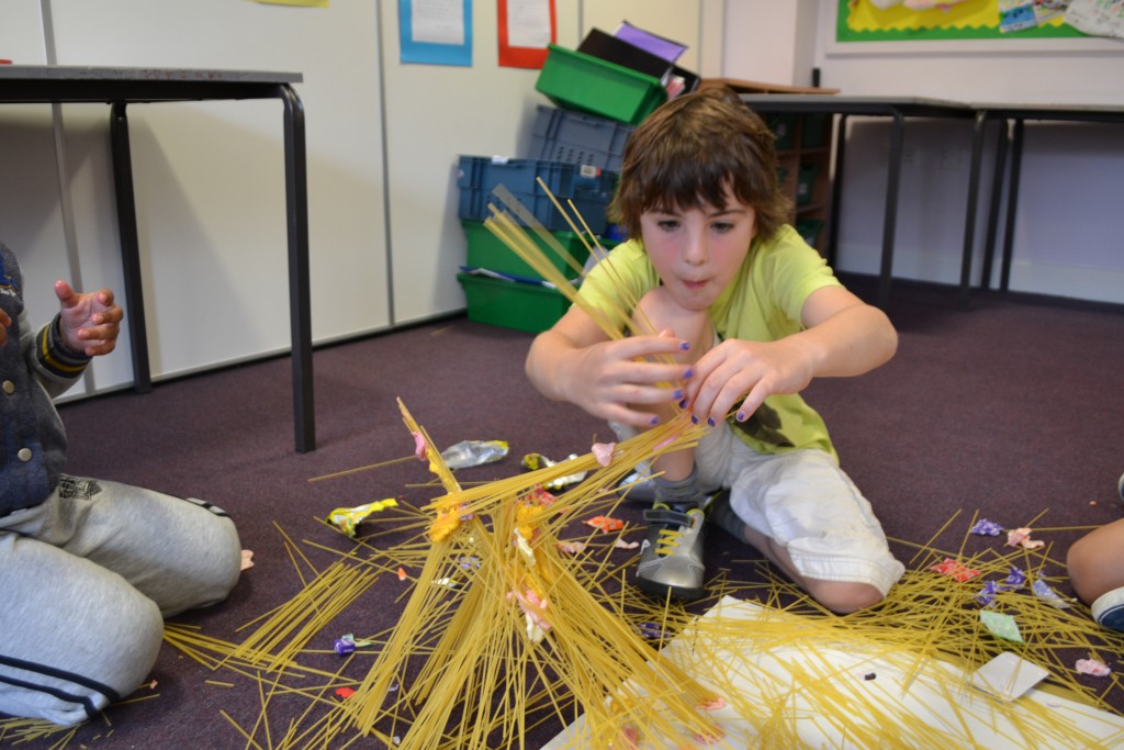 DSC_0031 – LJY-Netzer